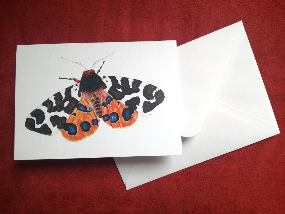 Garden Tiger Moth Card,moth Card, Greetings Card, Insect Card, Bug Card ...