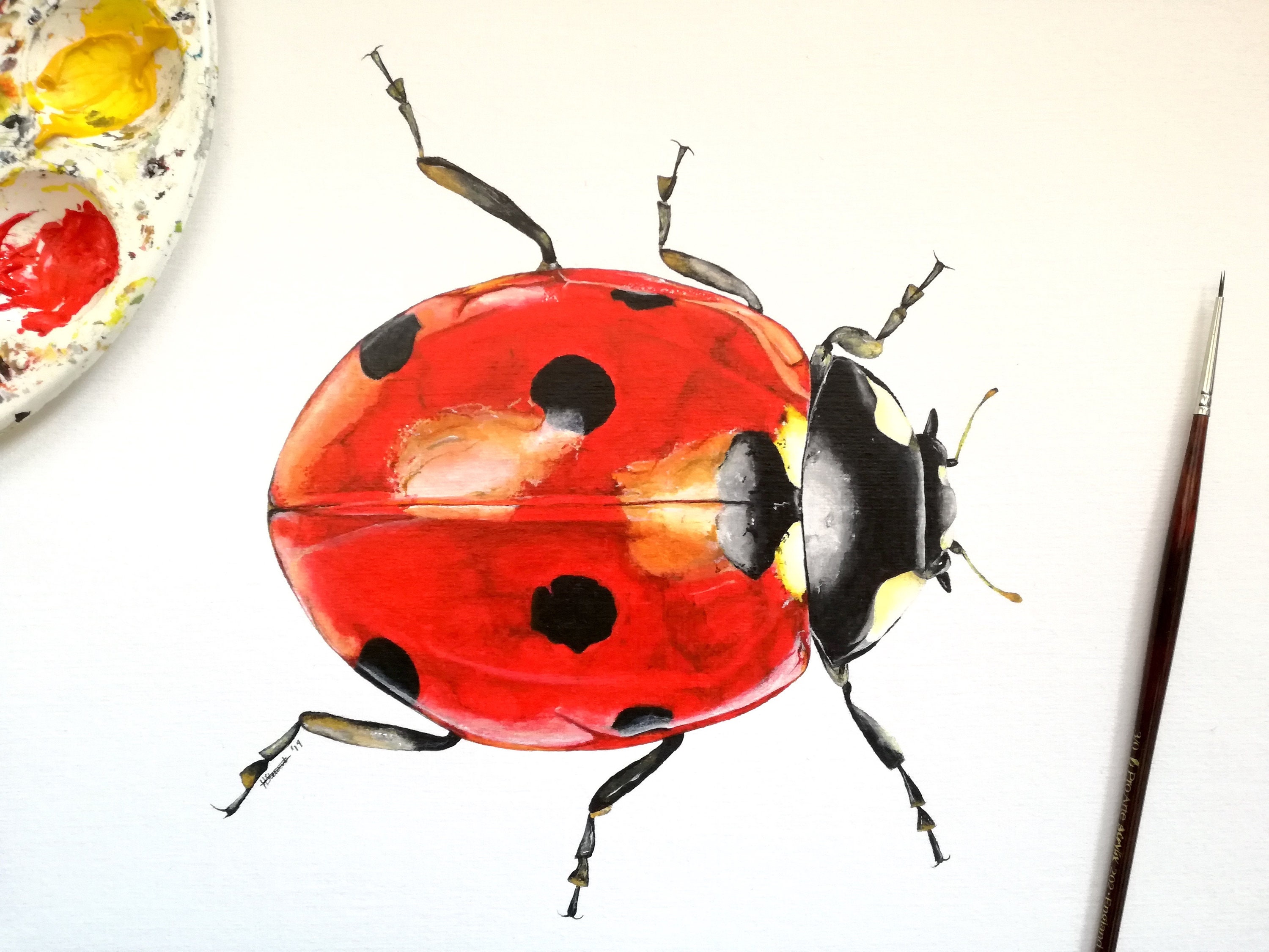 Acrylic Ladybird Painting, Ladybird, Ladybird Painting, Ladybird ...