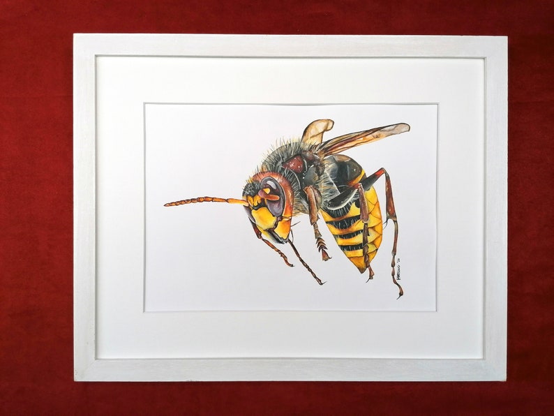 Hornet, Original Hornet Painting, Hornet Artwork, Insect Artwork ...