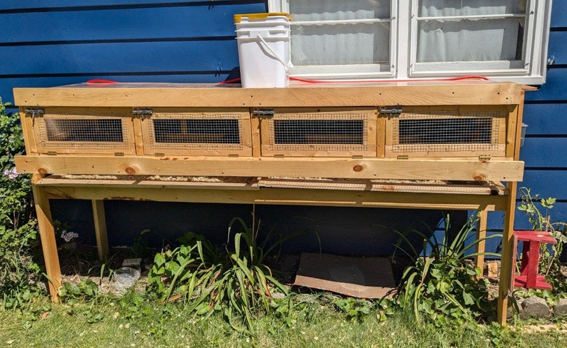 Jaulas para codornices de perfil bajo: Cómo crear jaulas para ...