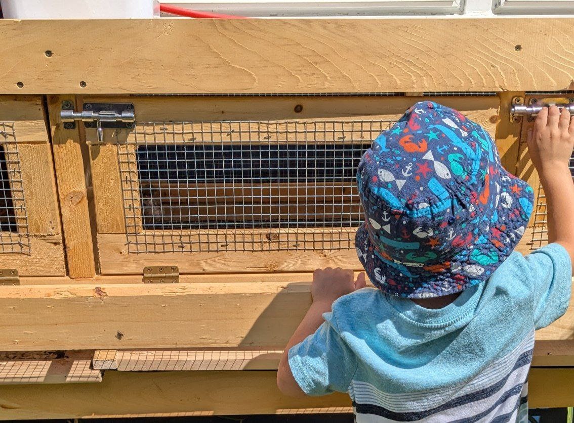 Low-profile Outdoor Quail Cage Prints - Etsy