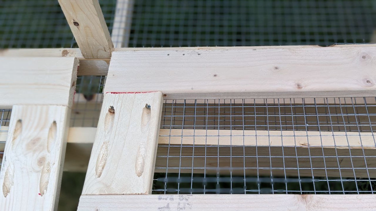 Low-profile Outdoor Quail Cage Prints - Etsy