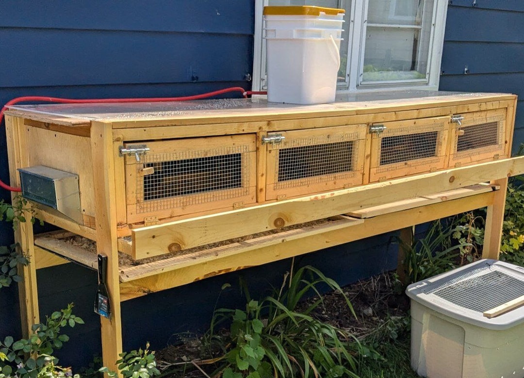 Jaulas para codornices de perfil bajo: Cómo crear jaulas para ...