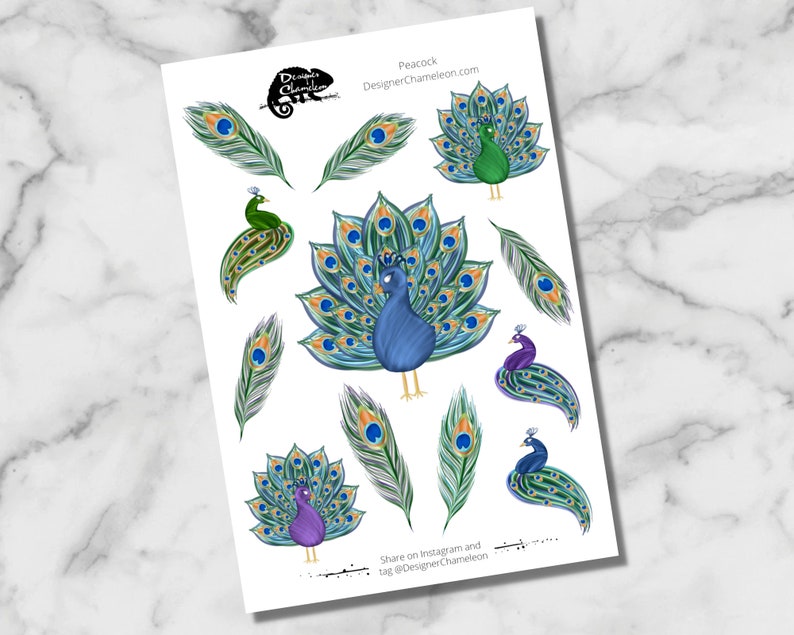 Peacock Sticker Sheets & Month Kit - Etsy