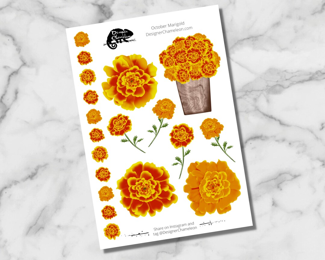 October Marigold Birth Flower Stickers - Etsy