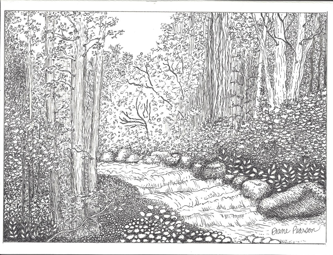 Into the Woods Pen and Ink Landscape Drawing Original Art 5x7 - Etsy