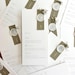 Wedding Menu and Name Cards in Sage Green With Foliage and Wax Seal ...