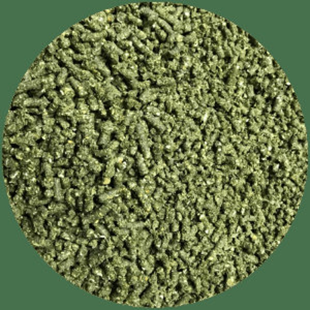 ECONO BASE Mix Human-grade Organic 16oz Make Your Own Bird Food ...
