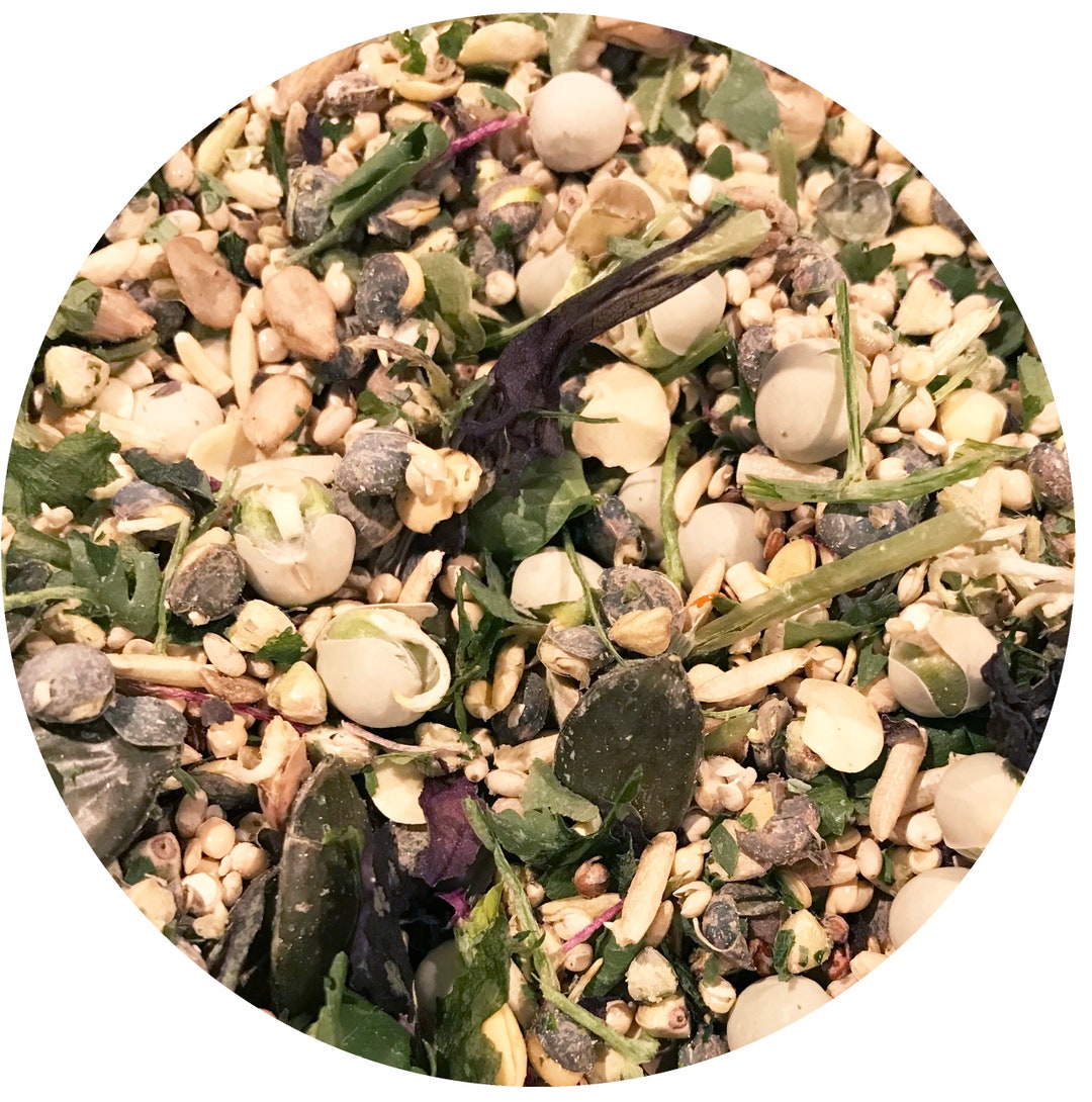 Organic, Human-grade Sprout Mix for Birds Sproutful Mix 16oz - Etsy