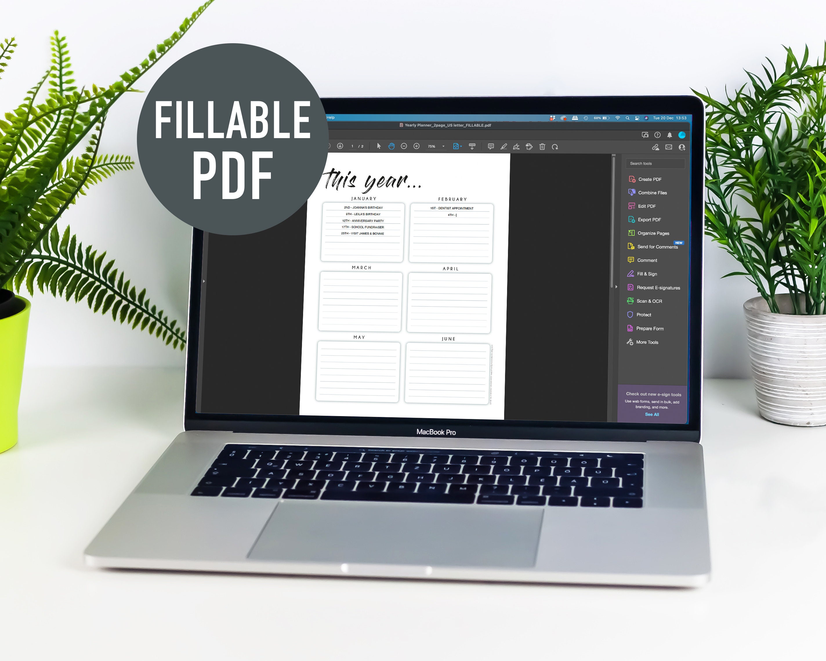 Yearly Planner Printable & Fillable PDF Any Year Calendar 12 Month ...