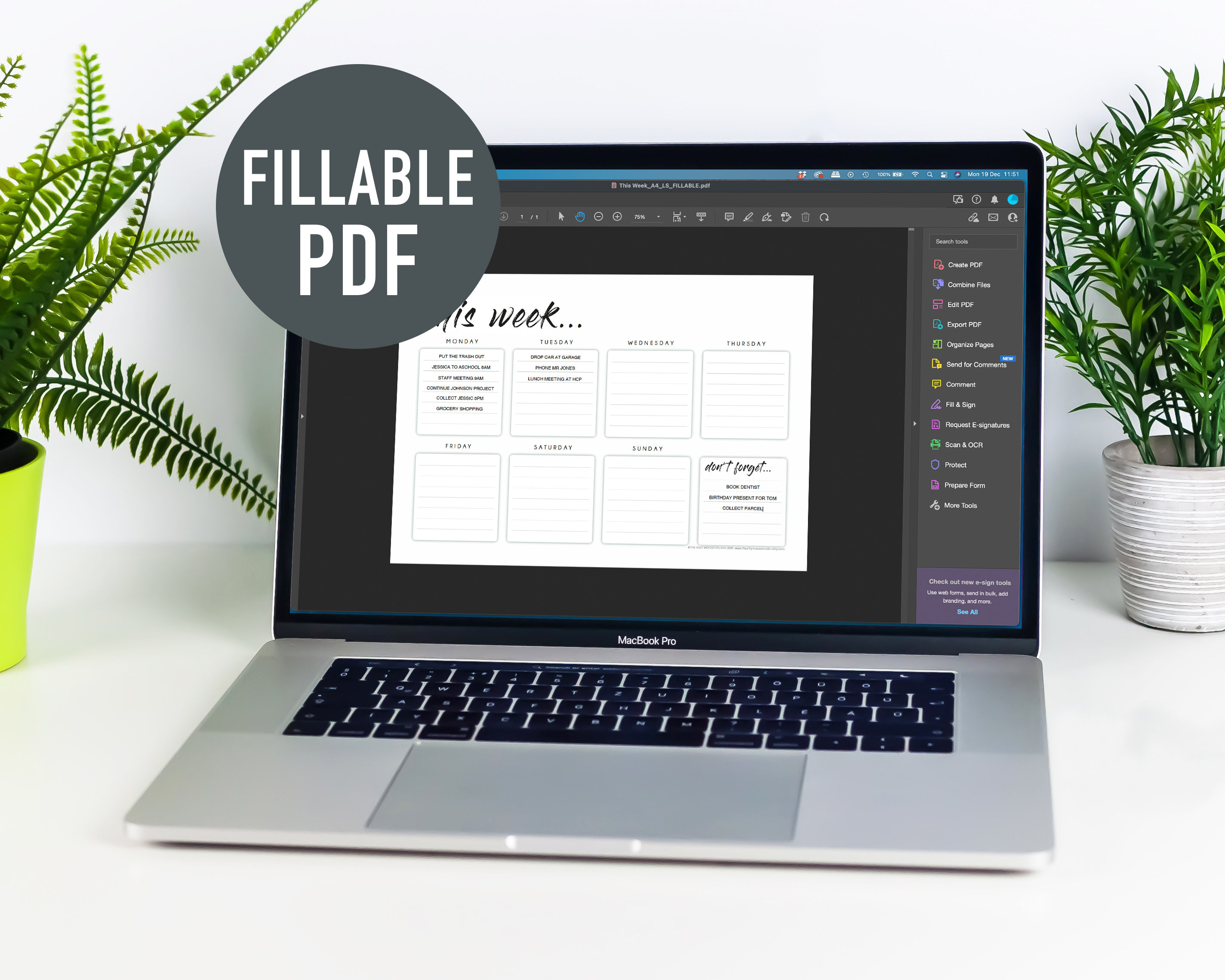 Weekly Planner Landscape Printable Fillable & Digital PDF - Etsy