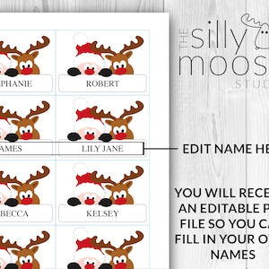 Christmas Editable Place Cards Template – Printable Table Seating Cards ...