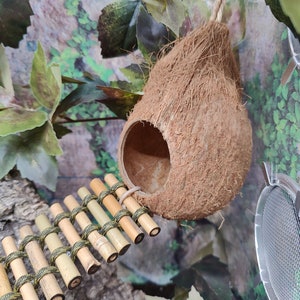 Coconut Hide With Bamboo Bridge (great for Crested Geckos, Leopard ...