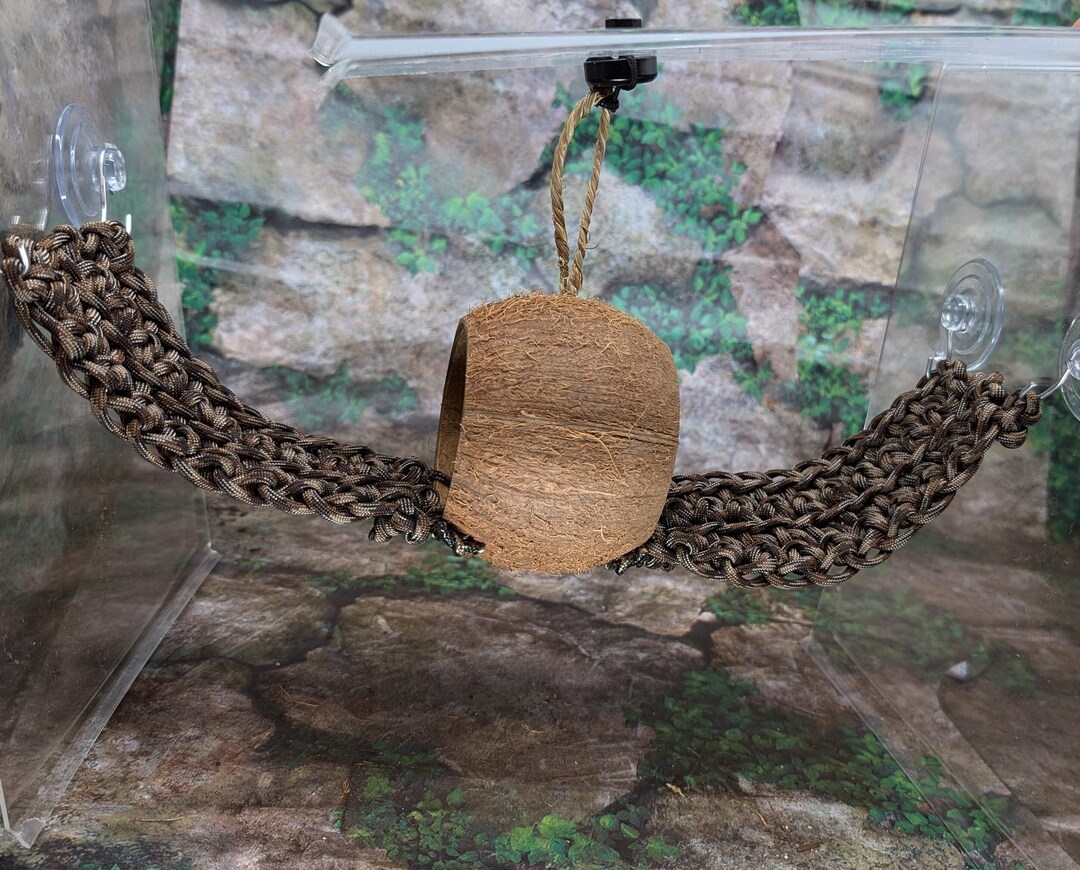Hanging Coconut Hide With 2 Paracord Bridges (great for Crested Geckos ...