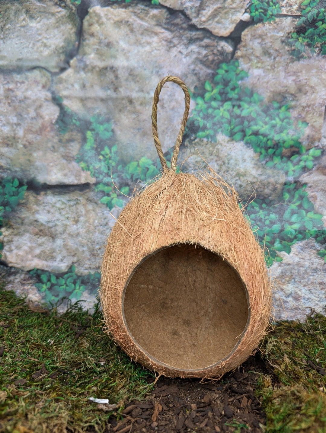 Large Coconut Hide With Wider Opening - Perfect for Hermit Crabs ...