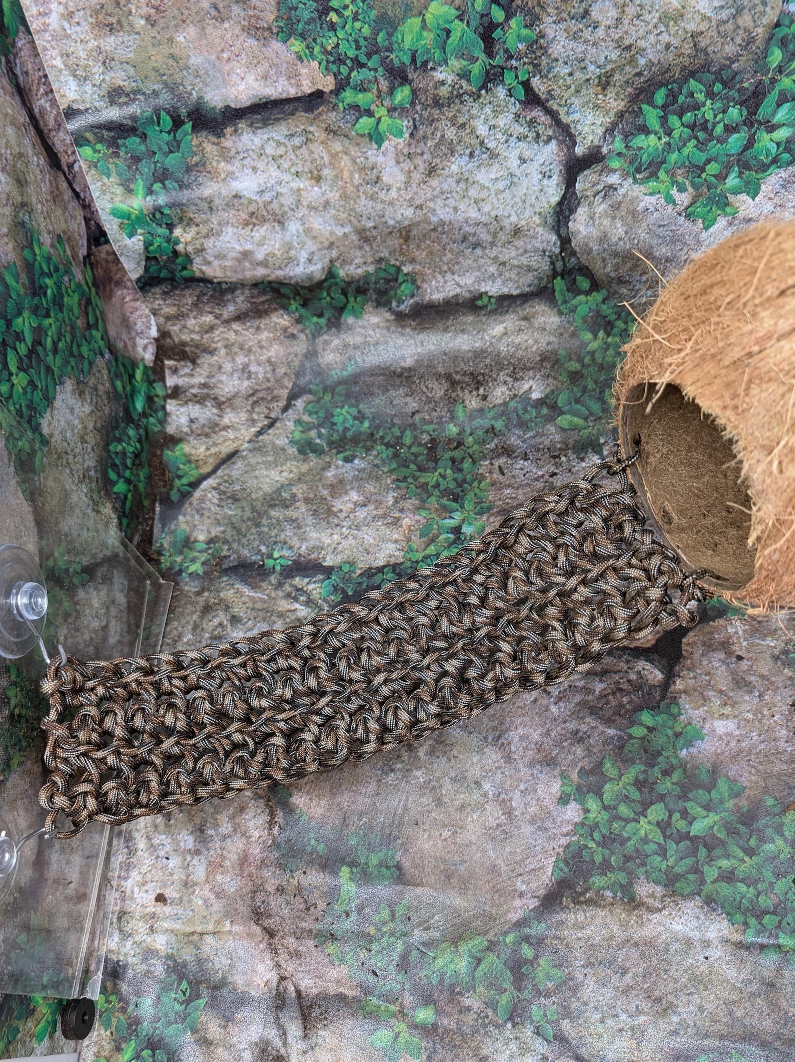 Coconut Hide W/ Paracord Bridge and Wider Opening (perfect for White's ...