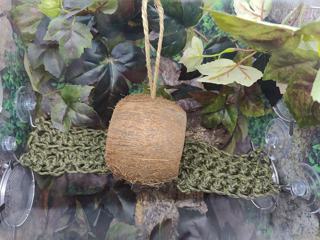 Hanging Coconut Hide With 2 Paracord Bridges - Etsy