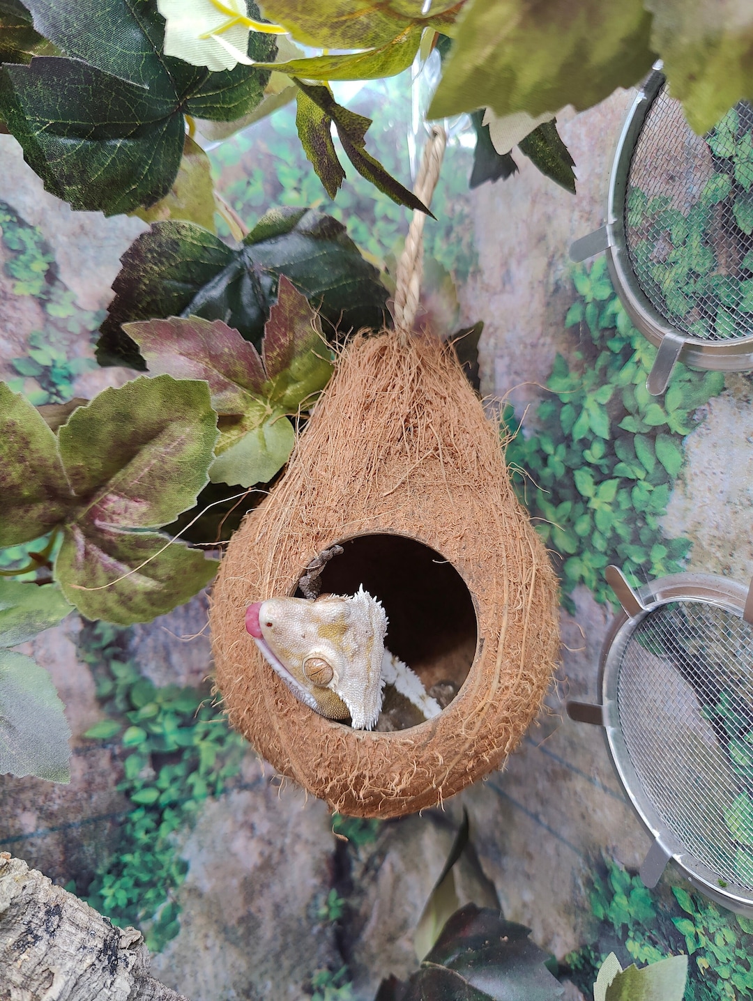 Coconut Hide -comes in 2 Sizes (great for Crested Geckos, Leopard ...