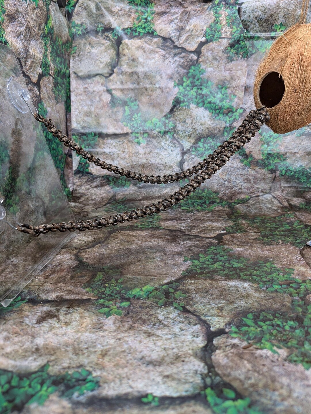 Coconut Hide With Vines - (perfect for Crested Geckos, Tree Frogs, and ...