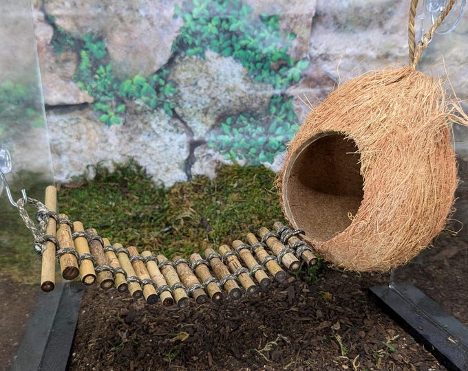 Coconut Hide With Bamboo Bridge With Wider Entrance-(perfect for White ...