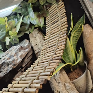 Bamboo Bridge- 4" Width - (perfect for Crested Geckos, Leopard Geckos ...