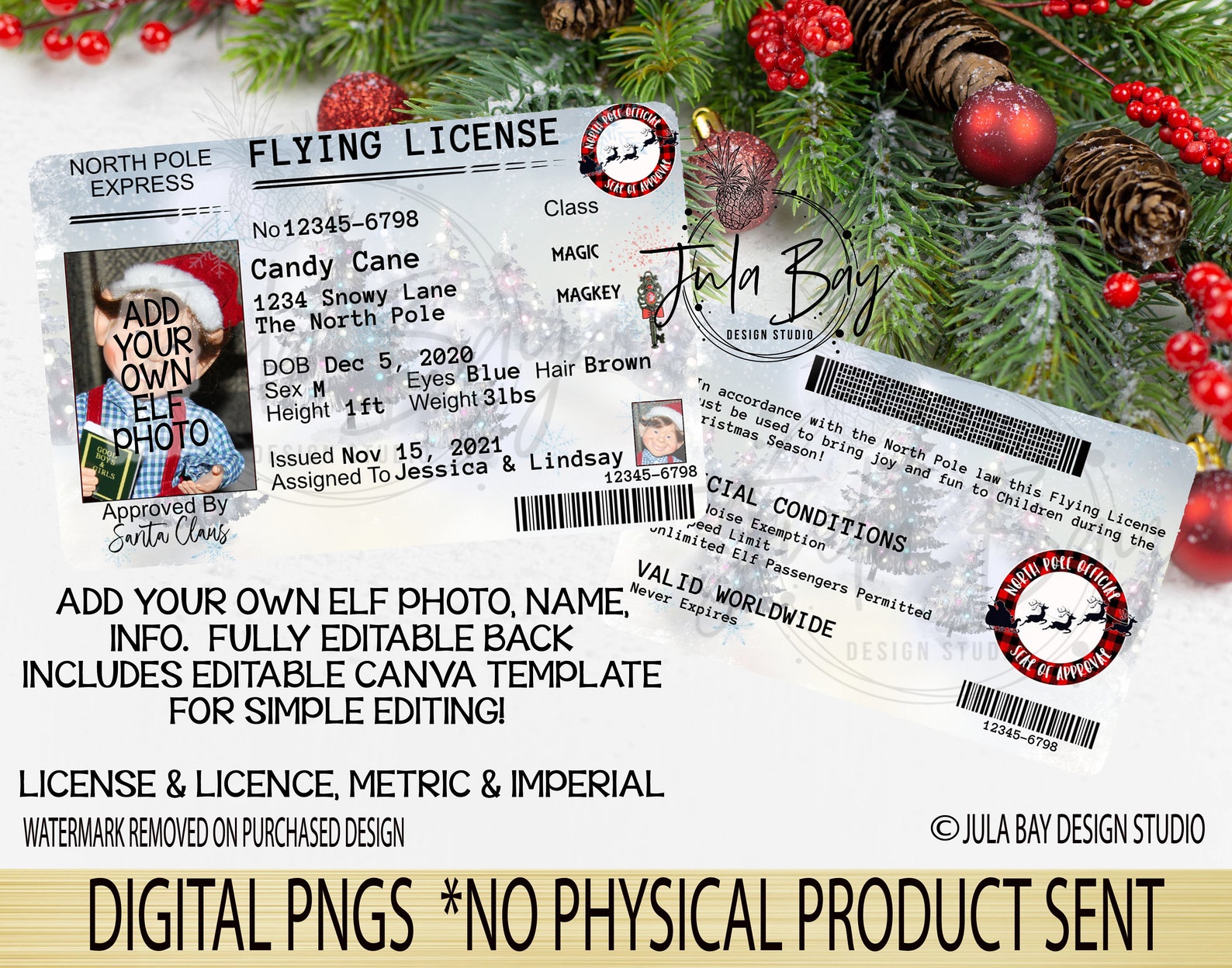 Elf Flying License PNG Printable Elf Driver's License - Etsy