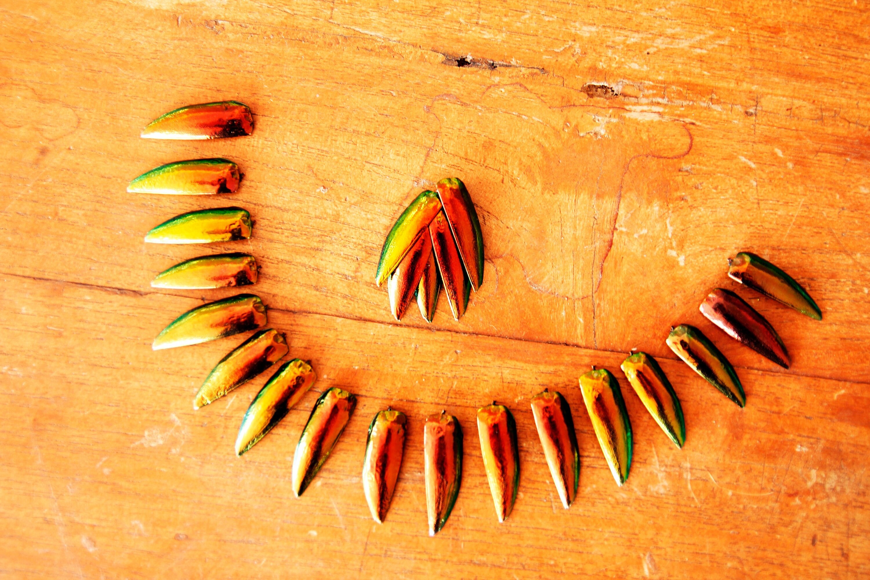 100 Rare Golden Red Orange Real Jewel Beetle Wings Bug Shells | Etsy