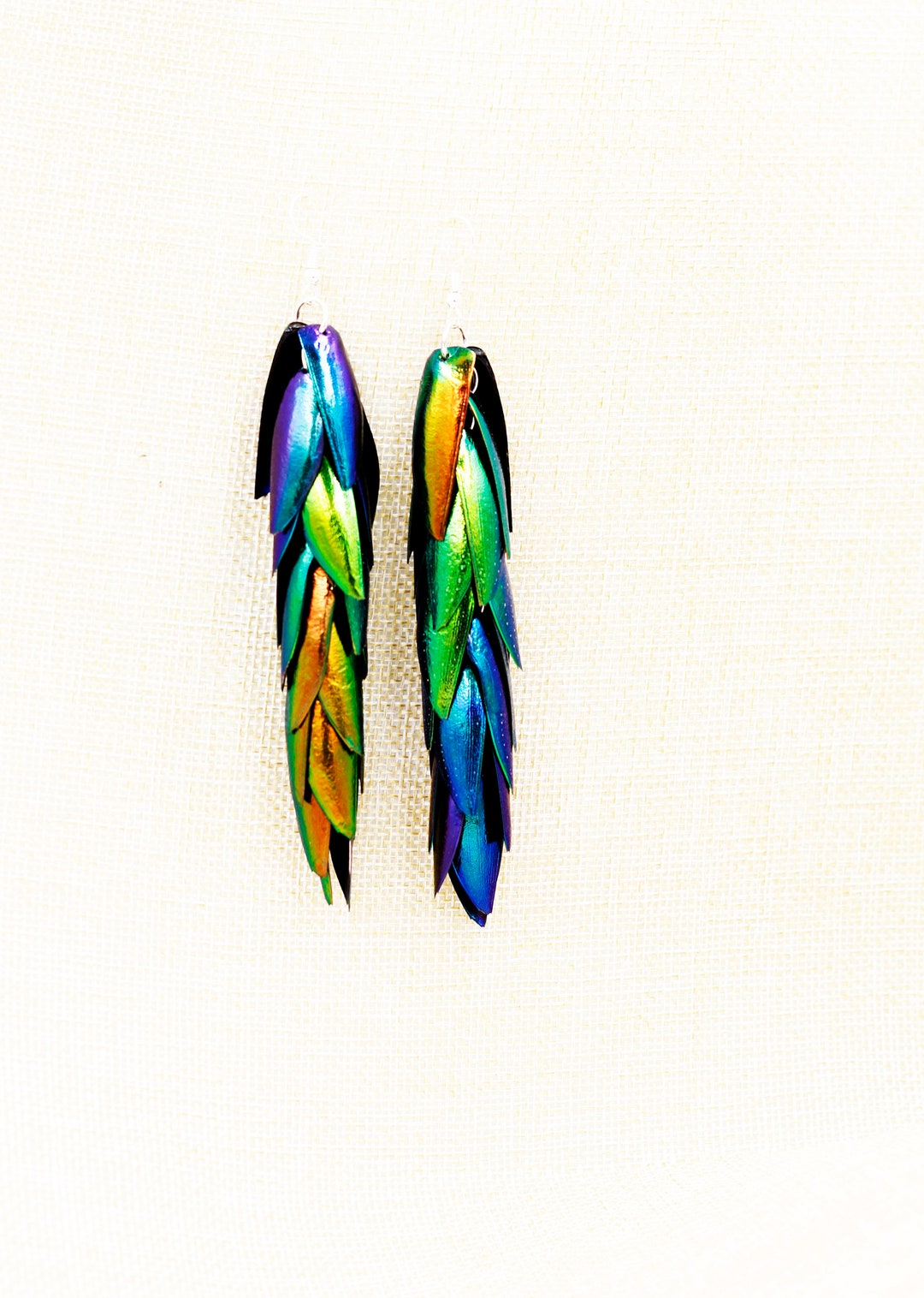 1 Pairs Real Iridescent Rainbow&reverse Rainbow Jewel Elytra Beetle ...