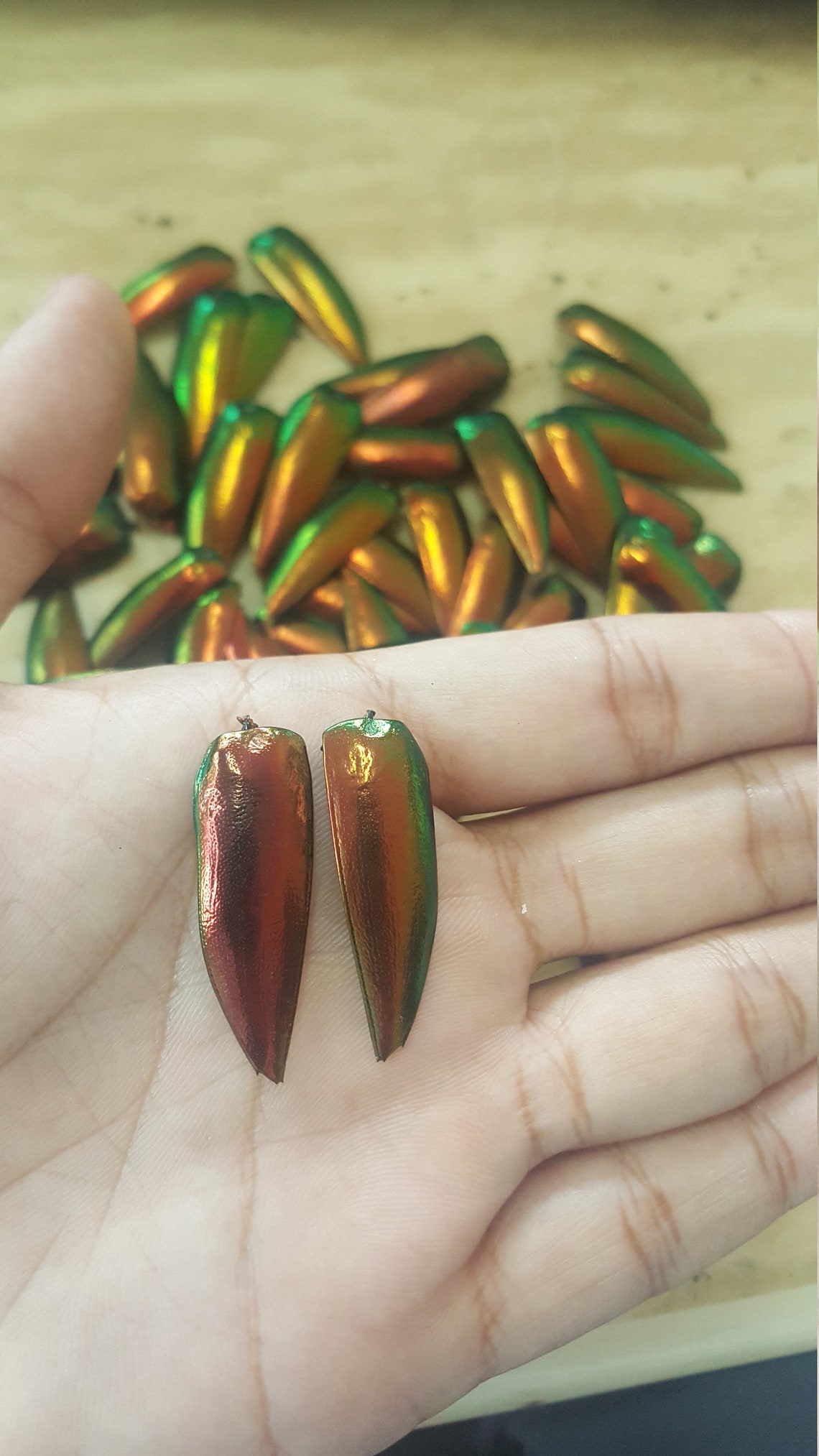 100 Rare Golden Red Orange Real Jewel Beetle Wings Bug Shells Elytra ...