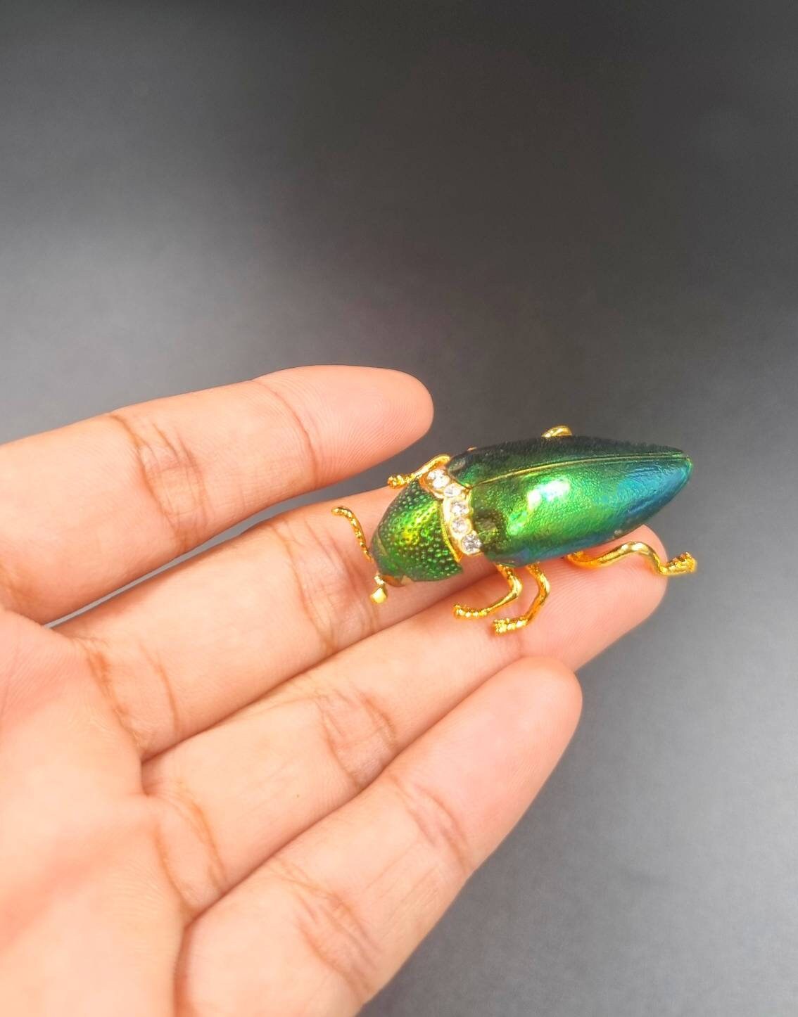 1 Pcs Real Iridescent Green Jewel Elytra Beetle Brooch - Etsy