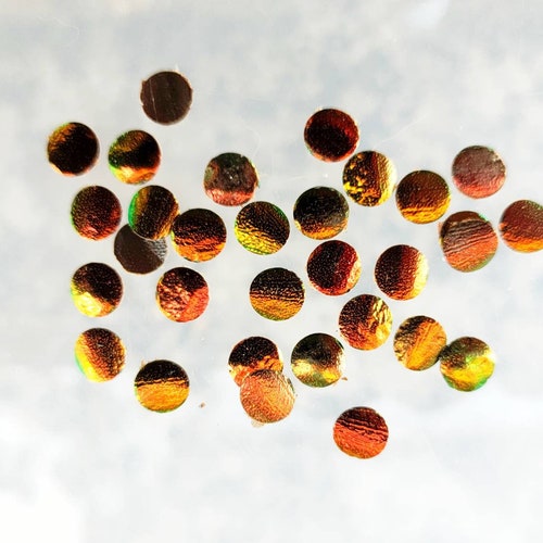 100 Rare Golden Red Orange Real Jewel Beetle Wings Bug Shells - Etsy