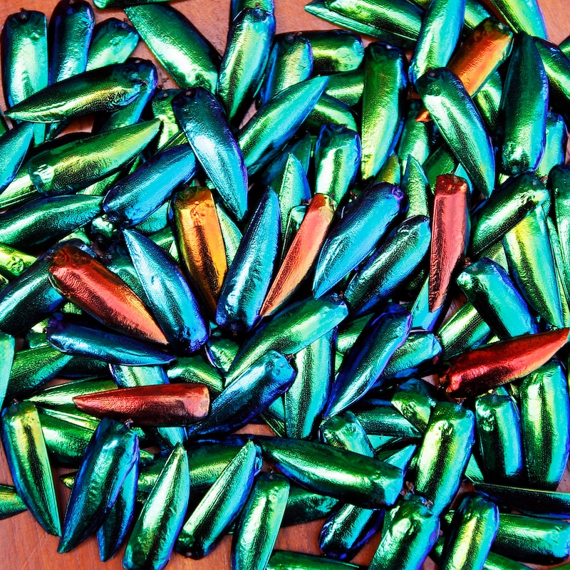 Beetle Art With Beads - Etsy