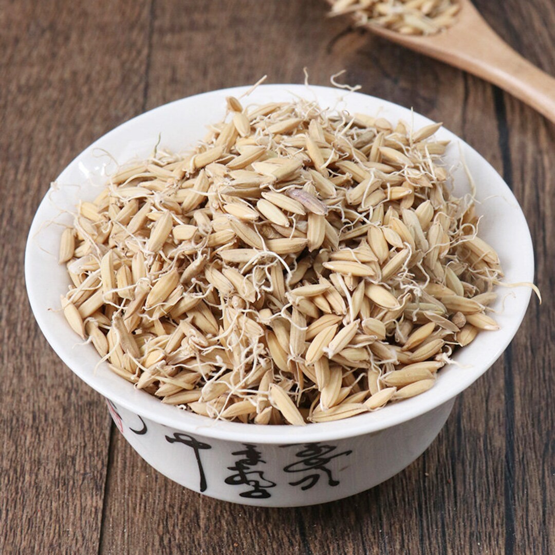 Organic Herba Rice-grain Sprout Fructus Oryzae Germinatus Great Quality ...