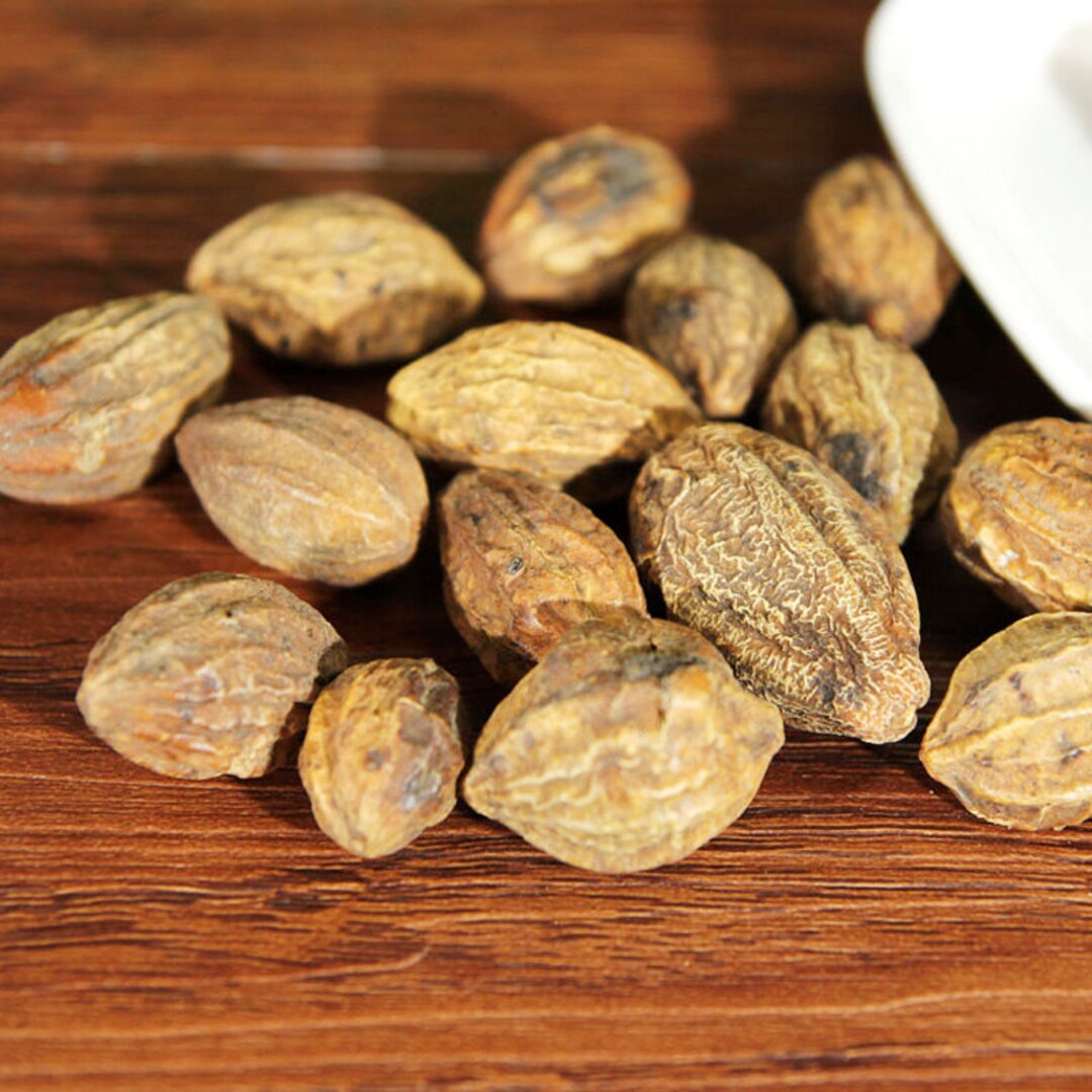 Premium Medicine Terminalia Fruit Fructus Chebulae Great - Etsy