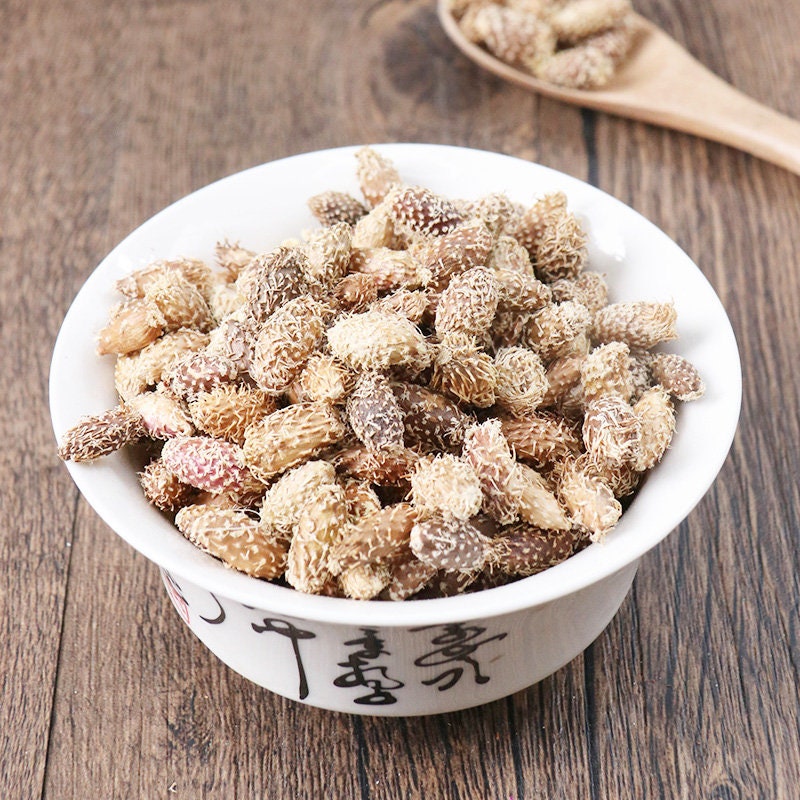 Organic Herba Siberian Cocklour Fruit Premium Fructus Xanthii - Etsy