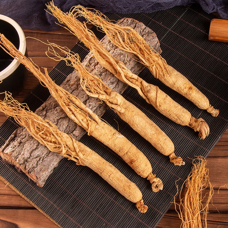 Health is Wealth Recommend Dried Organic Ginseng Roots Dried Ginseng ...