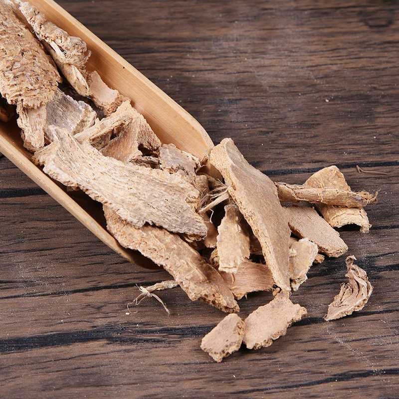 Pure Natural Herba Tree-of-heaven Ailanthus Bark Cortex - Etsy