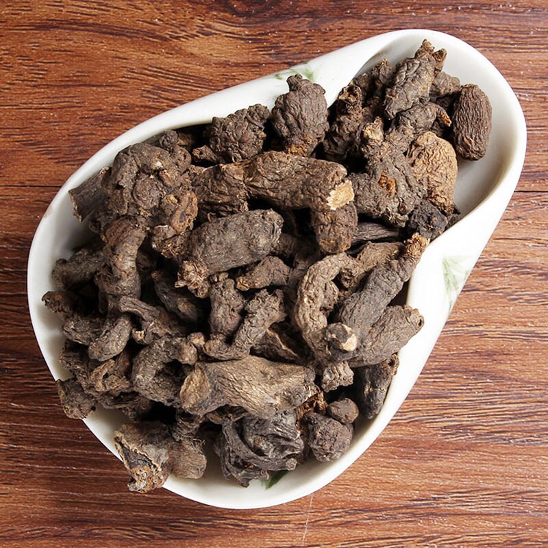 Muskroot-like Semiaquilegia Root Radix Semiaquilegiae Makes A - Etsy