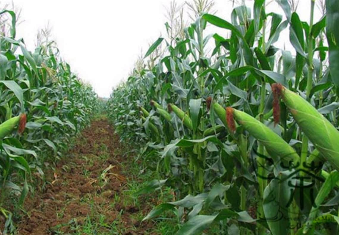 AARDRIJKSKUNDIGE BEGRIPPEN 3