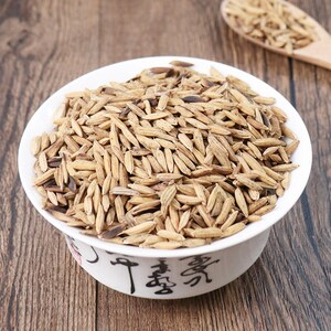 Organic Herba Rice-grain Sprout Roasted Fructus Oryzae Germinatus Great ...