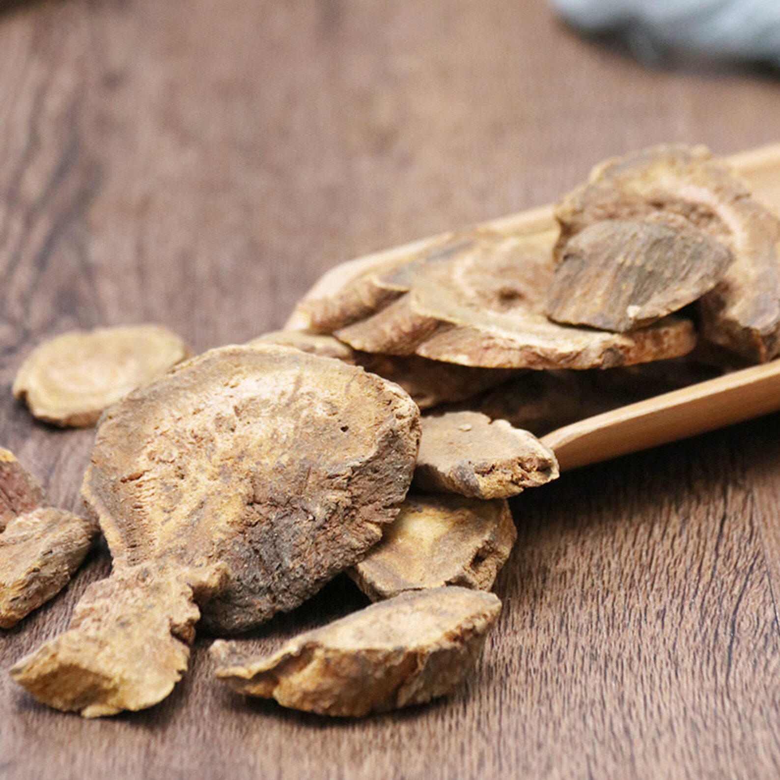 Organic Herba Rhubarb Radix Et Rhizoma Rhei Rheum Palmatum - Etsy