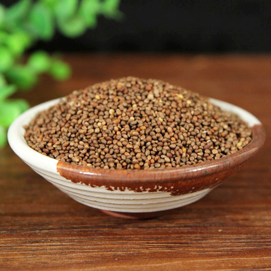 Perilla Fruit Fructus Perillae Perilla Frutescens Pure Natural Makes A ...