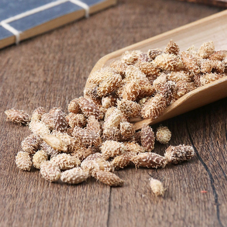 Organic Herba Siberian Cocklour Fruit Premium Fructus Xanthii - Etsy