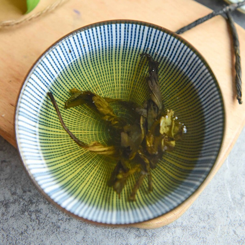 Premium Leaf of Chinese Holly Herbal Tea Leaf of Broadleaf - Etsy