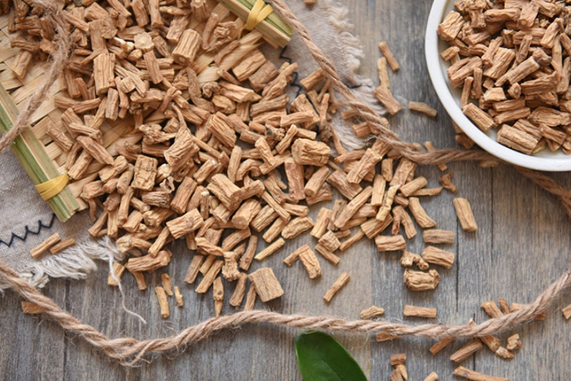 Organic Codonopsis Root Codonopsis Pilosula Dangshen Chinese - Etsy