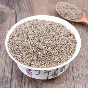 Kochia Scoparia - Etsy