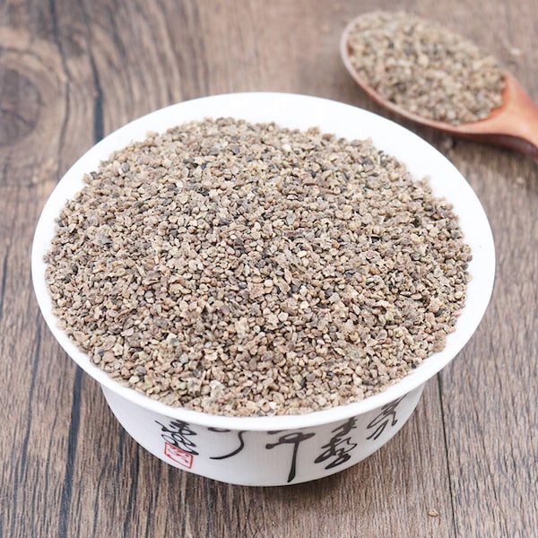 Kochia Scoparia - Etsy