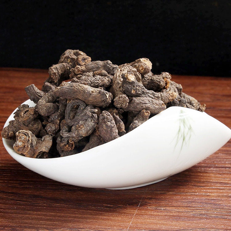 Muskroot-like Semiaquilegia Root Radix Semiaquilegiae Makes A - Etsy