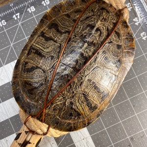 Ritual Rattle - Big Brother - Etsy