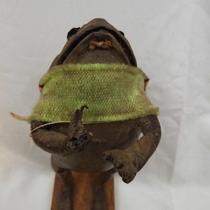 Vintage Taxidermy Frogs Mexican Folk Art Curiosities Oddities Vintage ...
